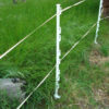Timeless Fence System | This Post IS the Insulator!