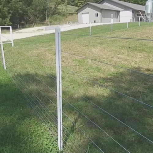 2.125" T-Post - Timeless Fence System