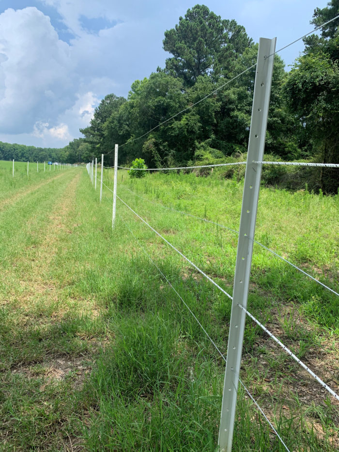 Timeless Fence System | line fence